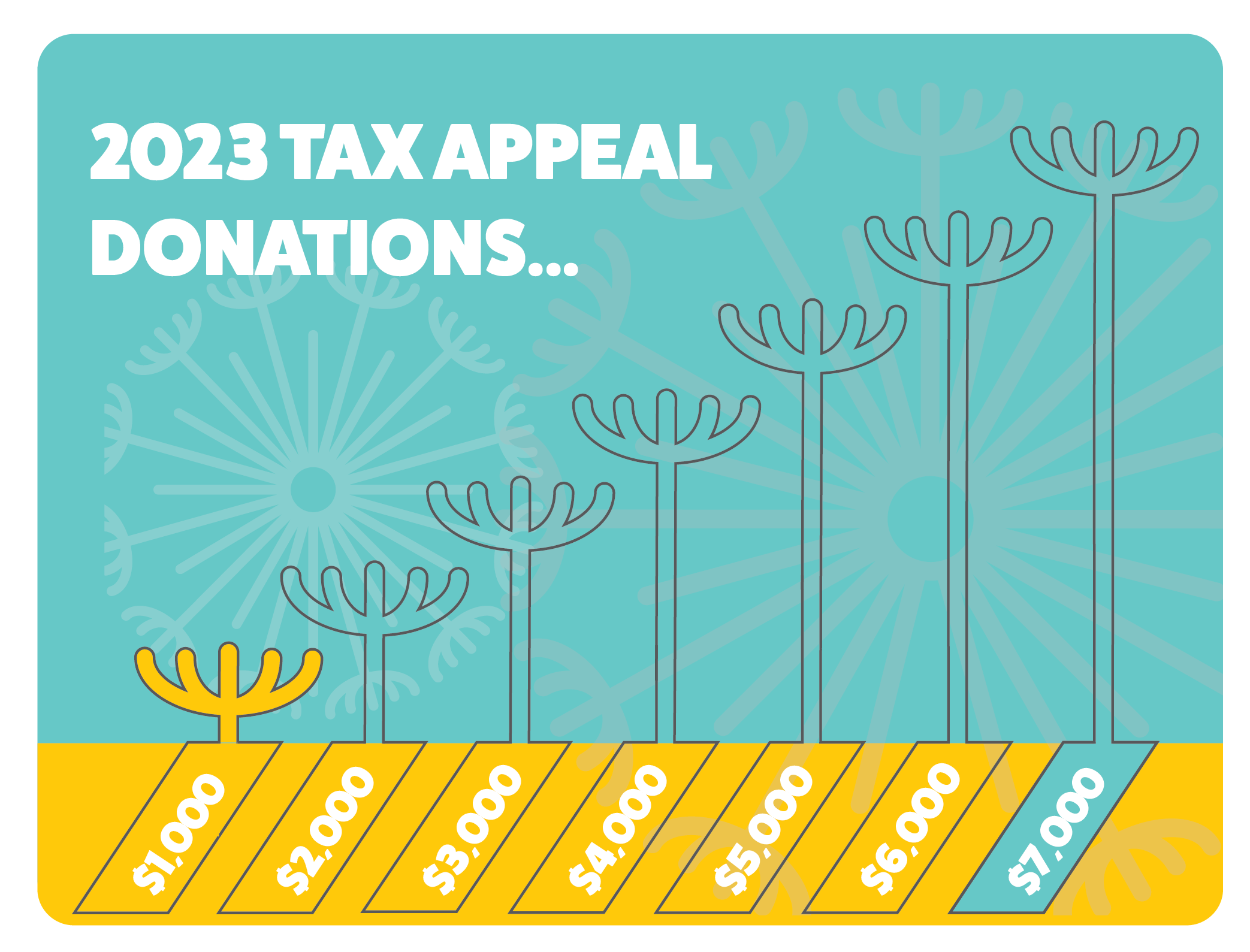 Sharis Story - Australian Pituitary Foundation